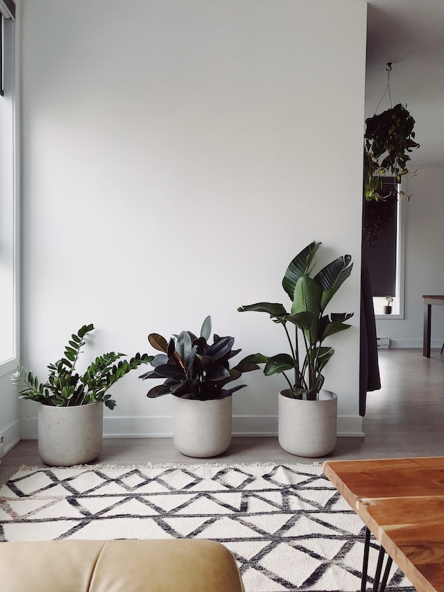 Explore the Home Department