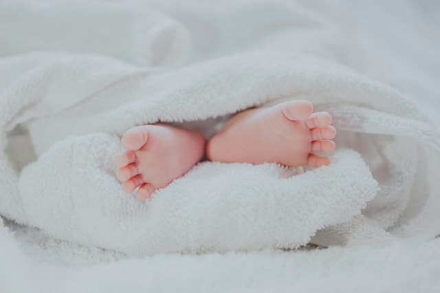 Explore the Baby Product Department